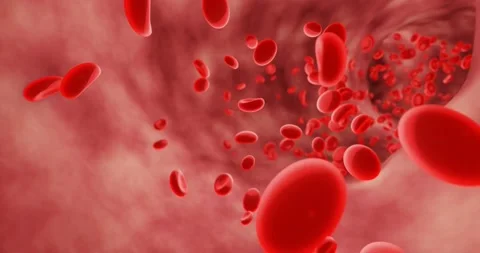 Red blood cells in an artery or blood v... | Stock Video | Pond5