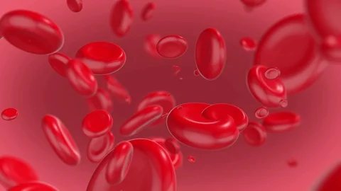 Red blood cells background animation gra... | Stock Video | Pond5