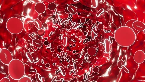 Red Blood Cells Cartoon Illustration | Stock Video | Pond5