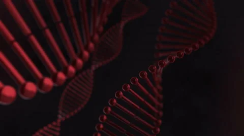 Red Blood Cells DNA Strand Chain Helix L... | Stock Video | Pond5