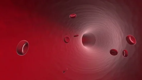 Body Blood Stock Videos – Royalty-Free HD & 4K Videos | Pond5