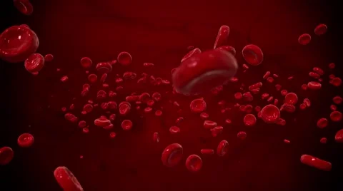 Red Blood Cells Floating in Body | Stock Video | Pond5