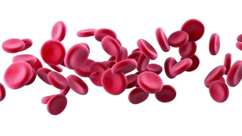 Animation From Blood Cells Stock Video Footage | Royalty Free Animation ...