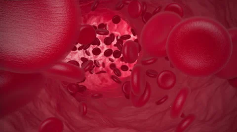 Red blood cells move along the vein. 3d ... | Stock Video | Pond5