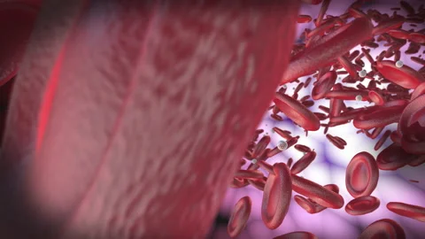 Red blood cells move inside an artery. 3... | Stock Video | Pond5