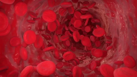 Blood Flow Stock Videos – Royalty-Free HD & 4K Videos