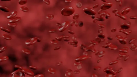 Red blood cells moving in blood stream i... | Stock Video | Pond5