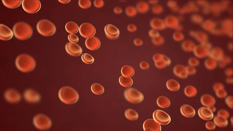 Red blood cells moving motion background... | Stock Video | Pond5