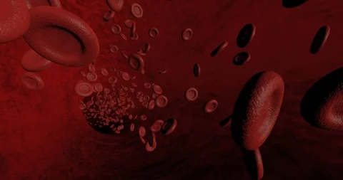 Red blood cells moving through the body,... | Stock Video | Pond5