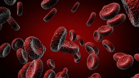 Red Cell Images Stock Videos – Royalty-Free HD & 4K Videos | Pond5