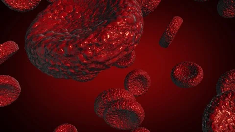 Red Cell Images Stock Videos – Royalty-Free HD & 4K Videos | Pond5