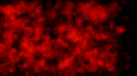 Boiling Blood Stock Video Footage | Royalty Free Boiling Blood Videos ...