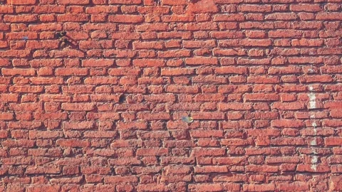 Red bricks wall texture Seamless Loop. C... | Stock Video | Pond5