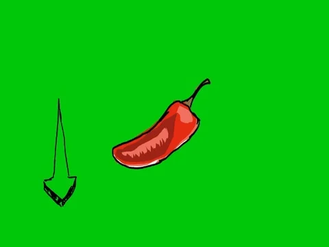 red chili - Hand Drawn - Green Screen - ... | Stock Video | Pond5