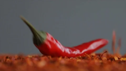 Chili Pepper Stock Footage ~ Royalty Free Stock Videos | Pond5