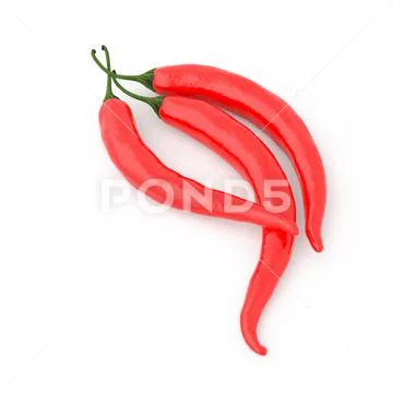 Red chili realistic 3d model rendering on white background. include ...
