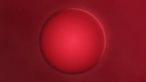 Red circle animation loop with a glowing... | Stock Video | Pond5