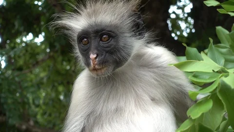 Natural Up Stock Videos – Royalty-Free HD & 4K Videos