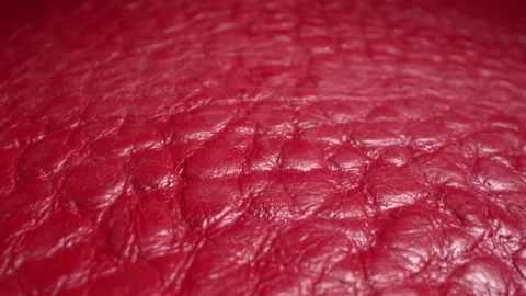 Red color exotic skin. Real leather text... | Stock Video | Pond5