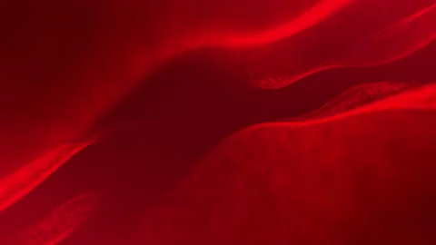 Red color Trapcode Form Background. Anim... | Stock Video | Pond5