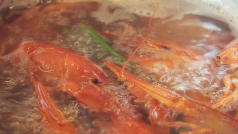 Red Crayfish In Boiling Water | Stock Video | Pond5