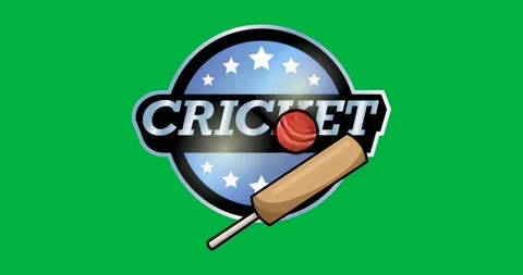 Transparent Pathers Logo Stock Videos – Royalty-Free HD & 4K Videos | Pond5