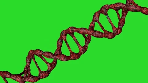 Red dark DNA molecules animation on a gr... | Stock Video | Pond5