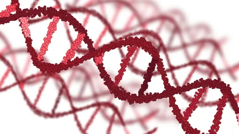 Red DNA Animation Seamless Loops on Whit... | Stock Video | Pond5