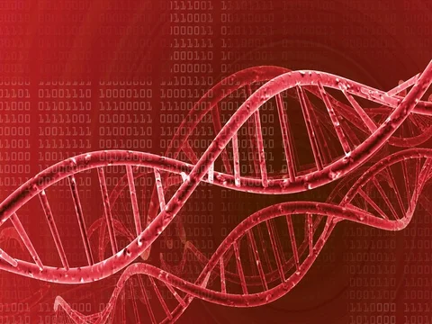 Red DNA double helix, medical background | Stock Video | Pond5