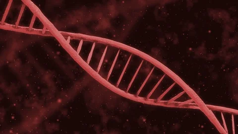 Full Human Evolution Stock Footage ~ Royalty Free Stock Videos | Pond5