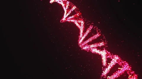 Red DNA Molecule Structure | Stock Video | Pond5