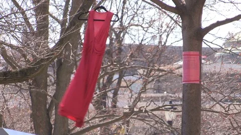 Red dresses hang from trees in memory of... | Stock Video | Pond5