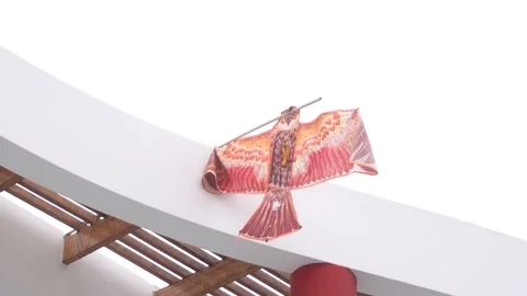 Flag and Eagle Stock Videos – Royalty-Free HD & 4K Videos