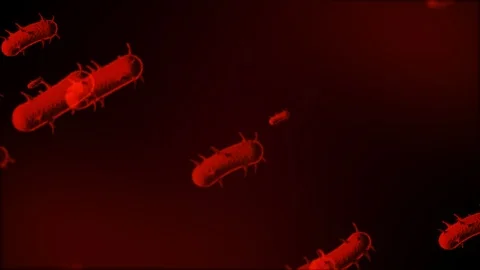 Red Elements Bacteria Cells Microscope L... | Stock Video | Pond5