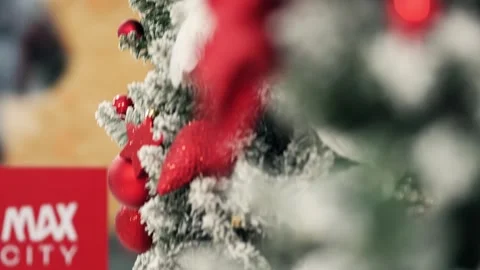 Box Tied Stock Videos – Royalty-Free HD & 4K Videos