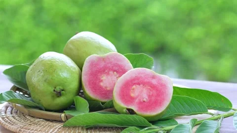 Red Guava fruit with leaf on blur garden... | Stock Video | Pond5