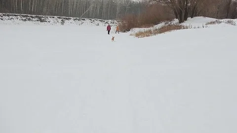 Hunting White Girls Stock Videos – Royalty-Free HD & 4K Videos | Pond5