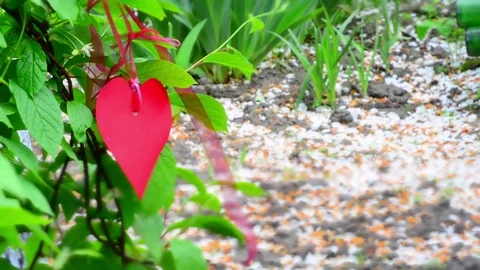 Grass Effect Paper Stock Videos – Royalty-Free HD & 4K Videos