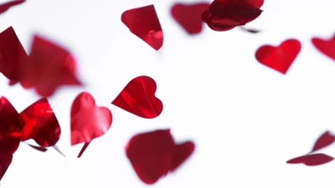 Fall Hearts Background Wedding Stock Video Footage | Royalty Free Fall ...