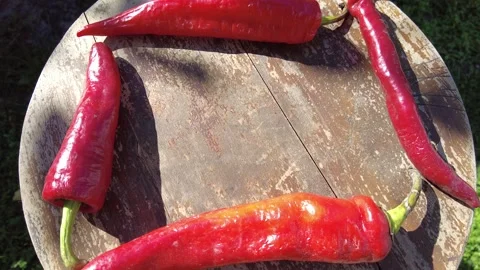 Video Hot Cilies Stock Videos – Royalty-Free HD & 4K Videos