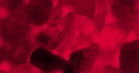 Red microscopic view on tiny rocks with ... | Stock Video | Pond5