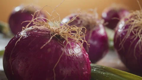 Mustard Yellow Background Stock Videos – Royalty-Free HD & 4K Videos ...