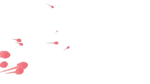 red paint dissolved in water on a white ... | Stock Video | Pond5