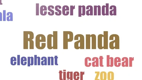 Red Panda Word Cloud Animated Isolated O... | Stock Video | Pond5