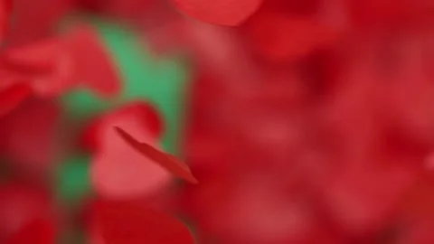 Red paper confetti hearts flying on chro... | Stock Video | Pond5