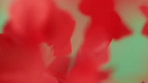 Red paper confetti hearts flying on chro... | Stock Video | Pond5