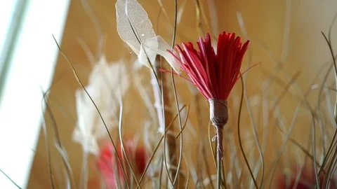 Bokep Cines Hot Stock Videos – Royalty-Free HD & 4K Videos