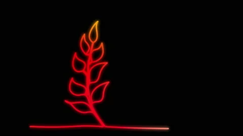 Outline Nature Stock Videos – Royalty-Free HD & 4K Videos