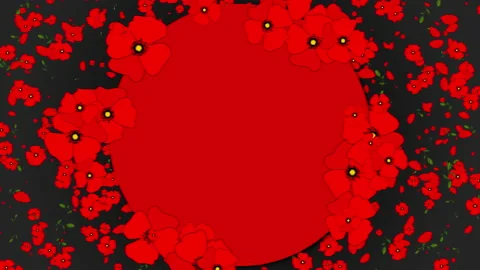 Red poppies rotating on black animated b... | Stock Video | Pond5