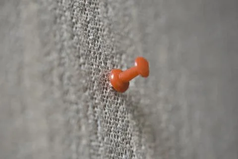 Push Pin Stuck Stock Photos ~ Royalty Free Images | Pond5